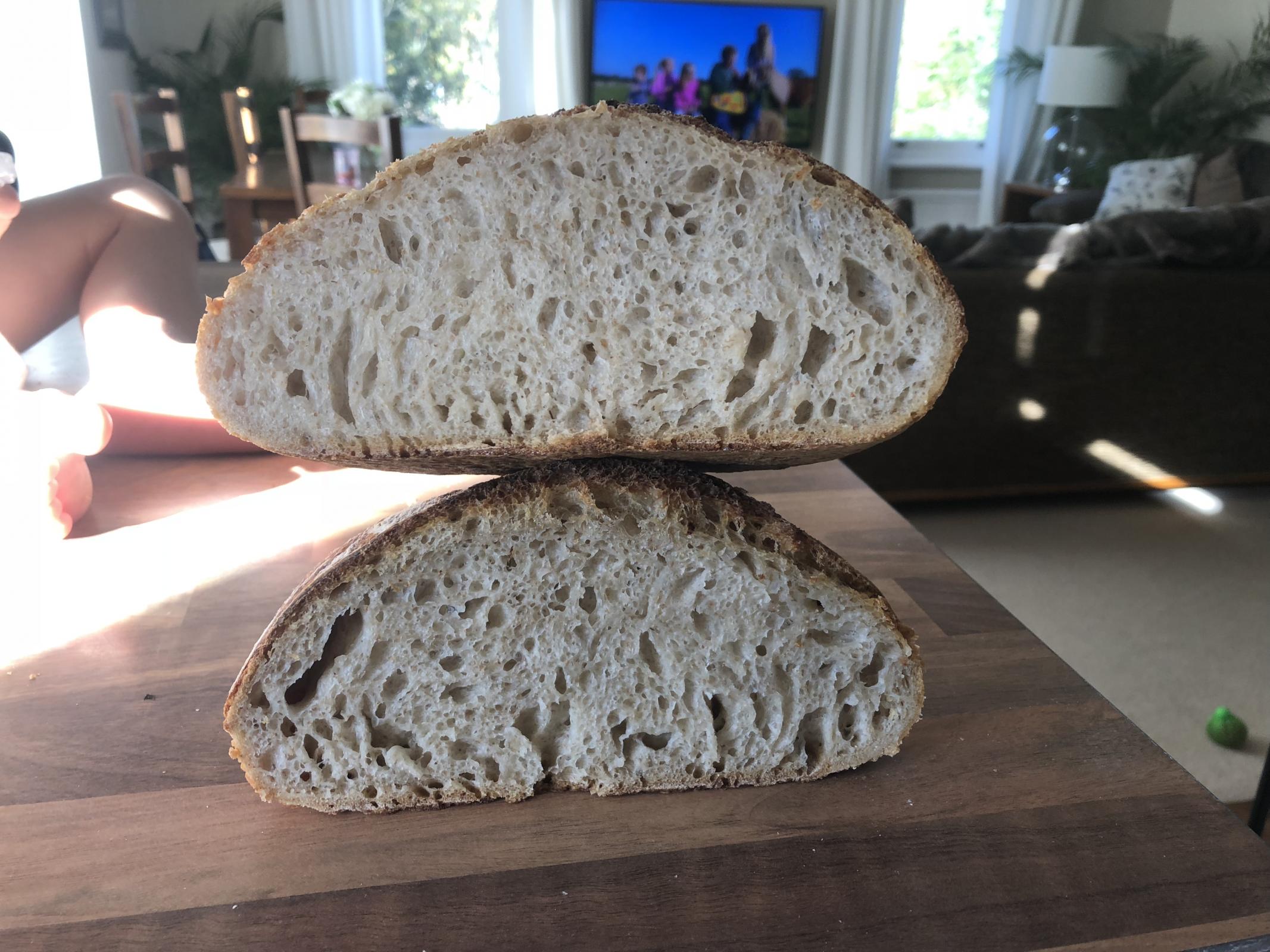 Under proofed over? | The Fresh Loaf Under proofed over? | The Fresh Loaf