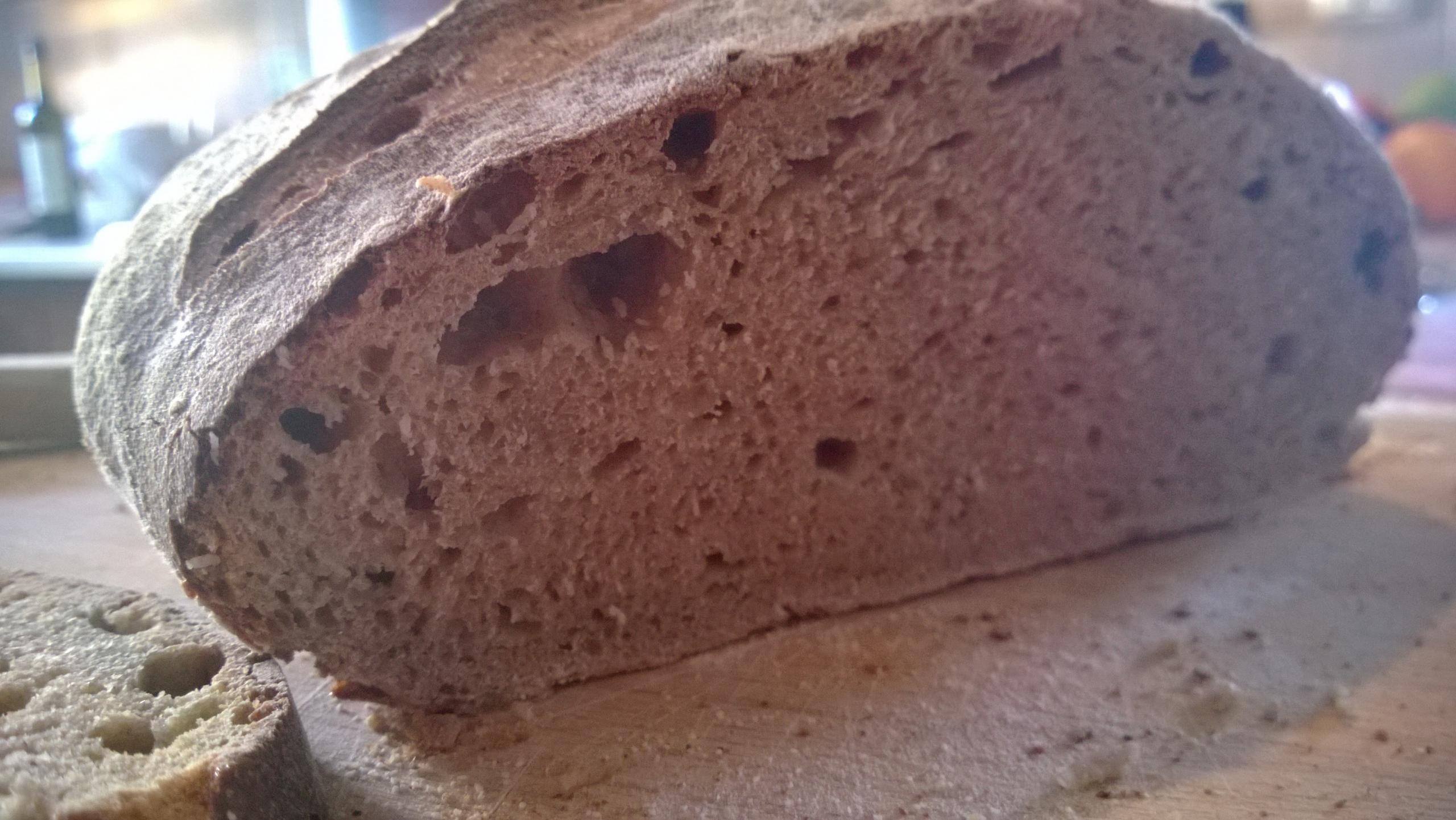 Newbi first picture upload | The Fresh Loaf Newbi first picture upload | The Fresh Loaf