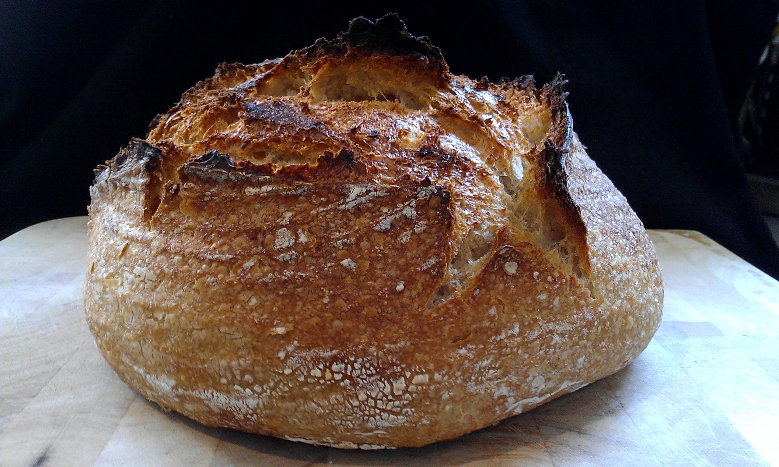 Understanding Local Bread Flour | The Fresh Loaf Understanding Local Bread Flour | The Fresh Loaf