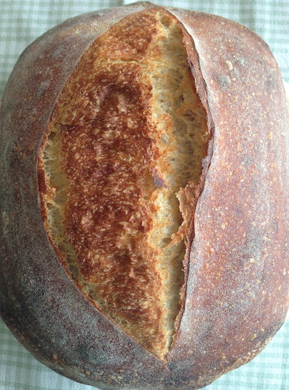 Kamut Khorasan Bread Recipe | Besto Blog